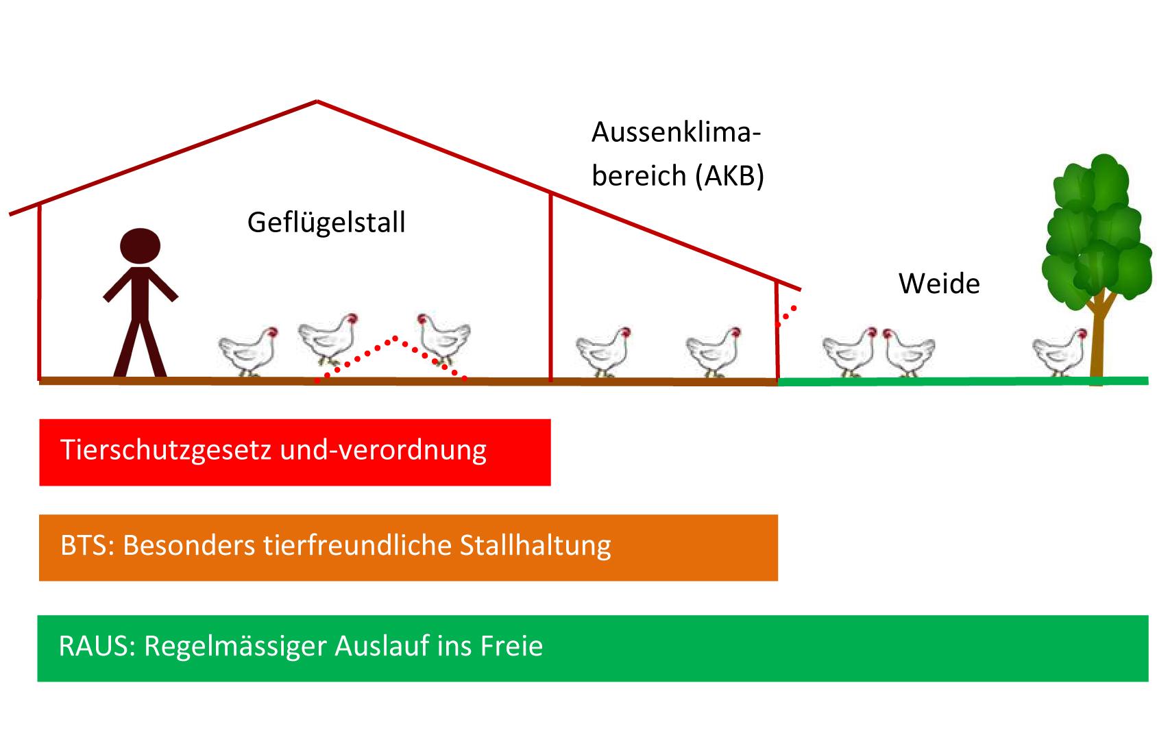 Haltungsarten und Anforderungen
